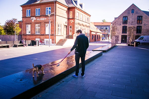 Lemvig – Unser Trip durch Limfjord Dänemark